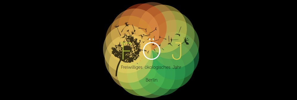 cropped-föj-Logo.jpg – FÖJ Berlin