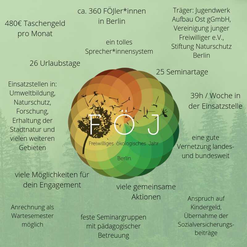 Infografik FÖJ – FÖJ Berlin